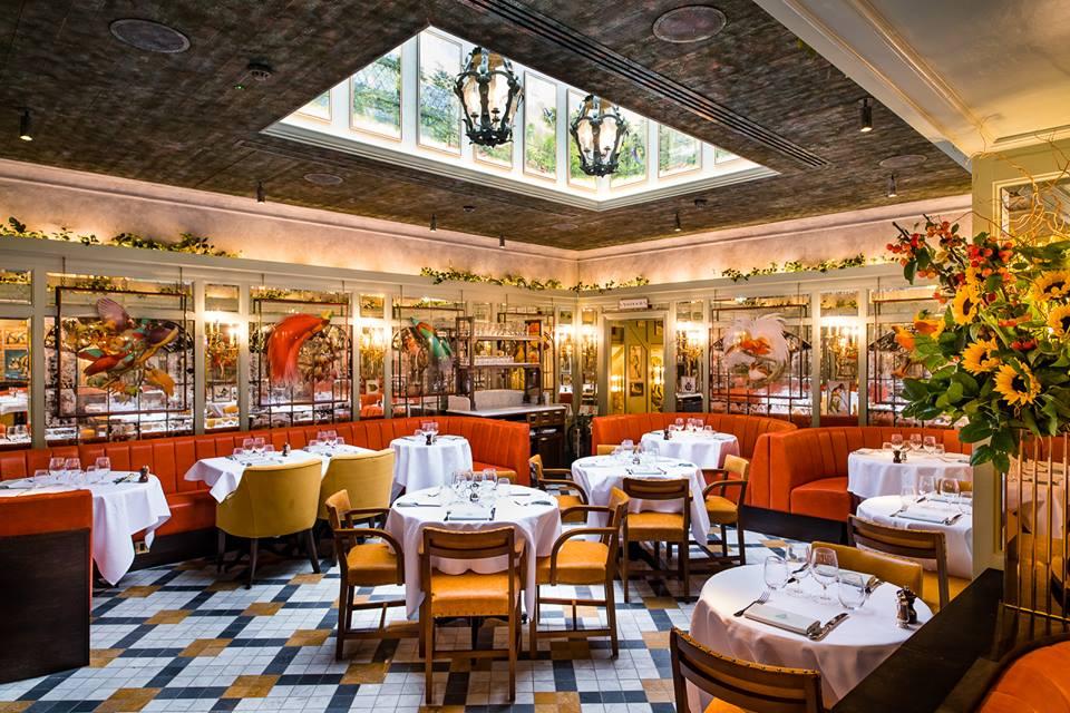 The Ivy Cafe · London | Booked.it