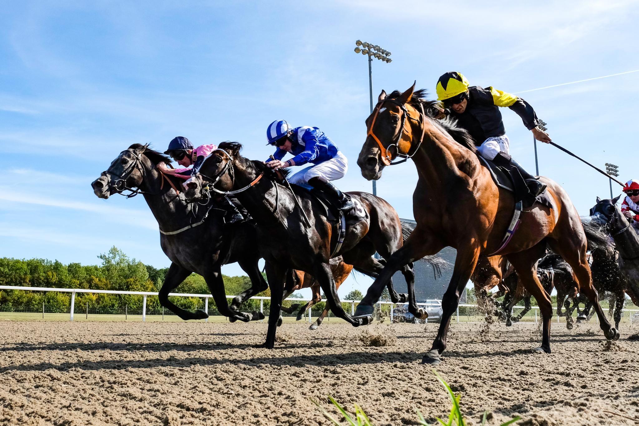 Events List – Chelmsford City Racecourse