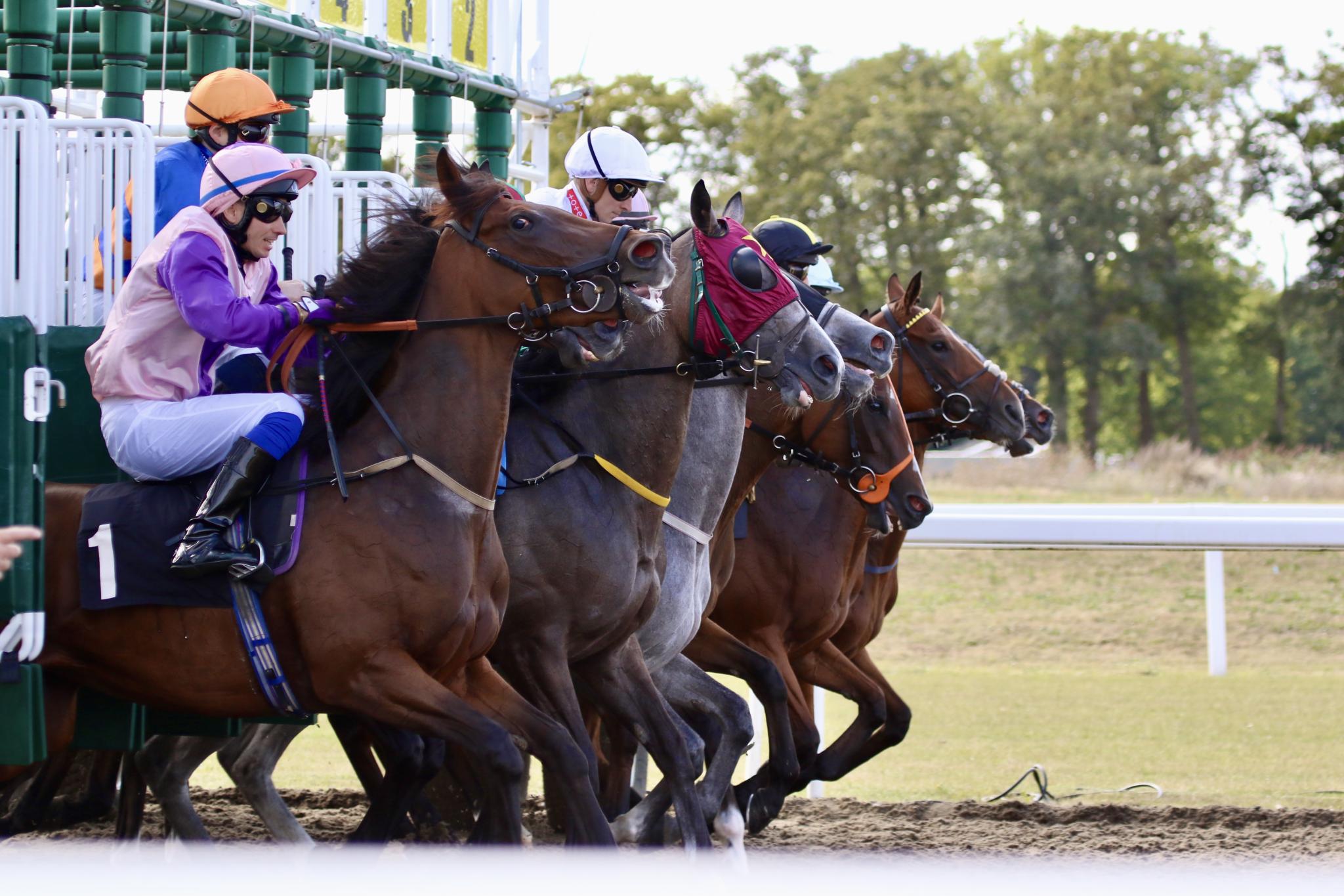 Events List – Chelmsford City Racecourse